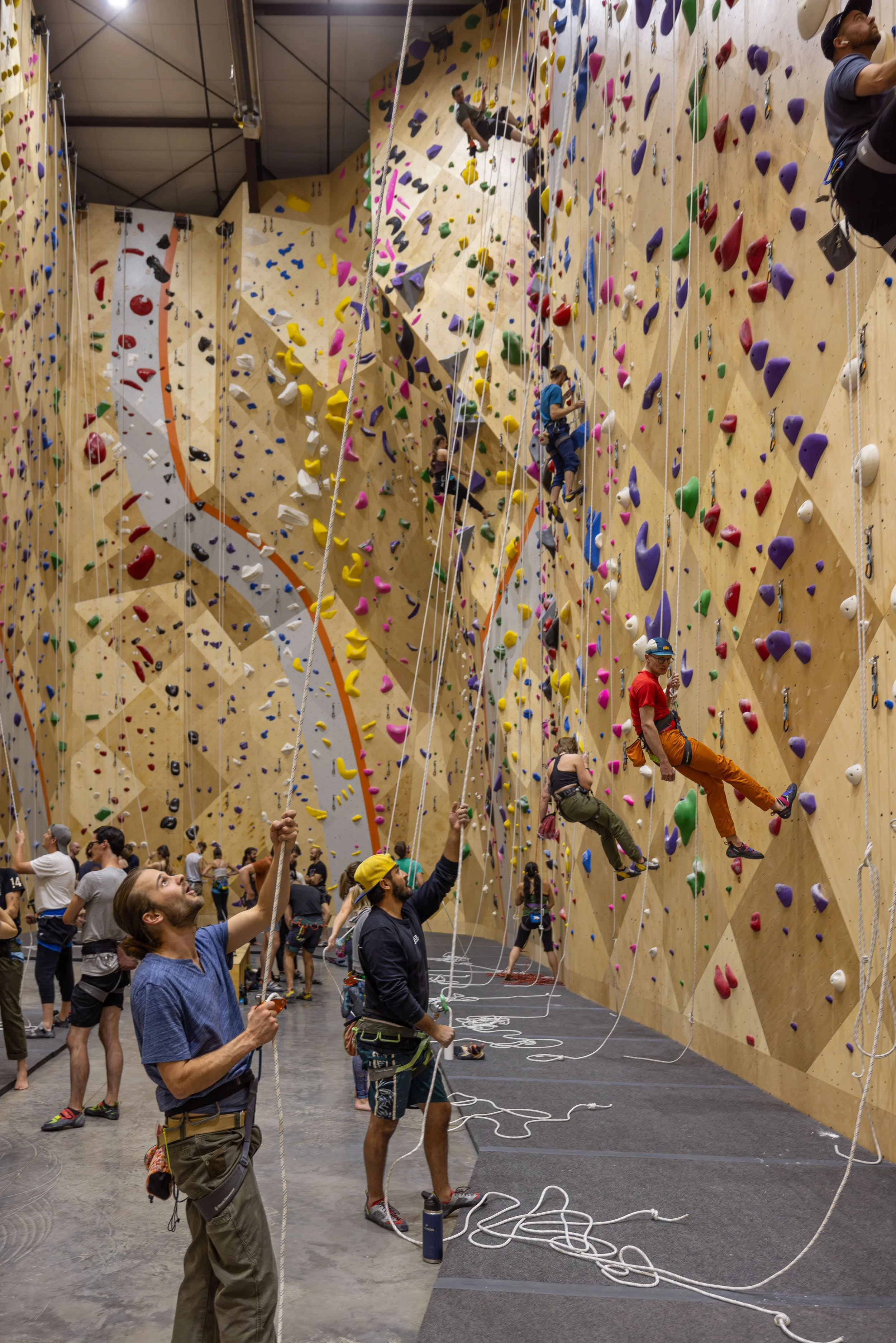Longmont Climbing Collective — Climbing Collective