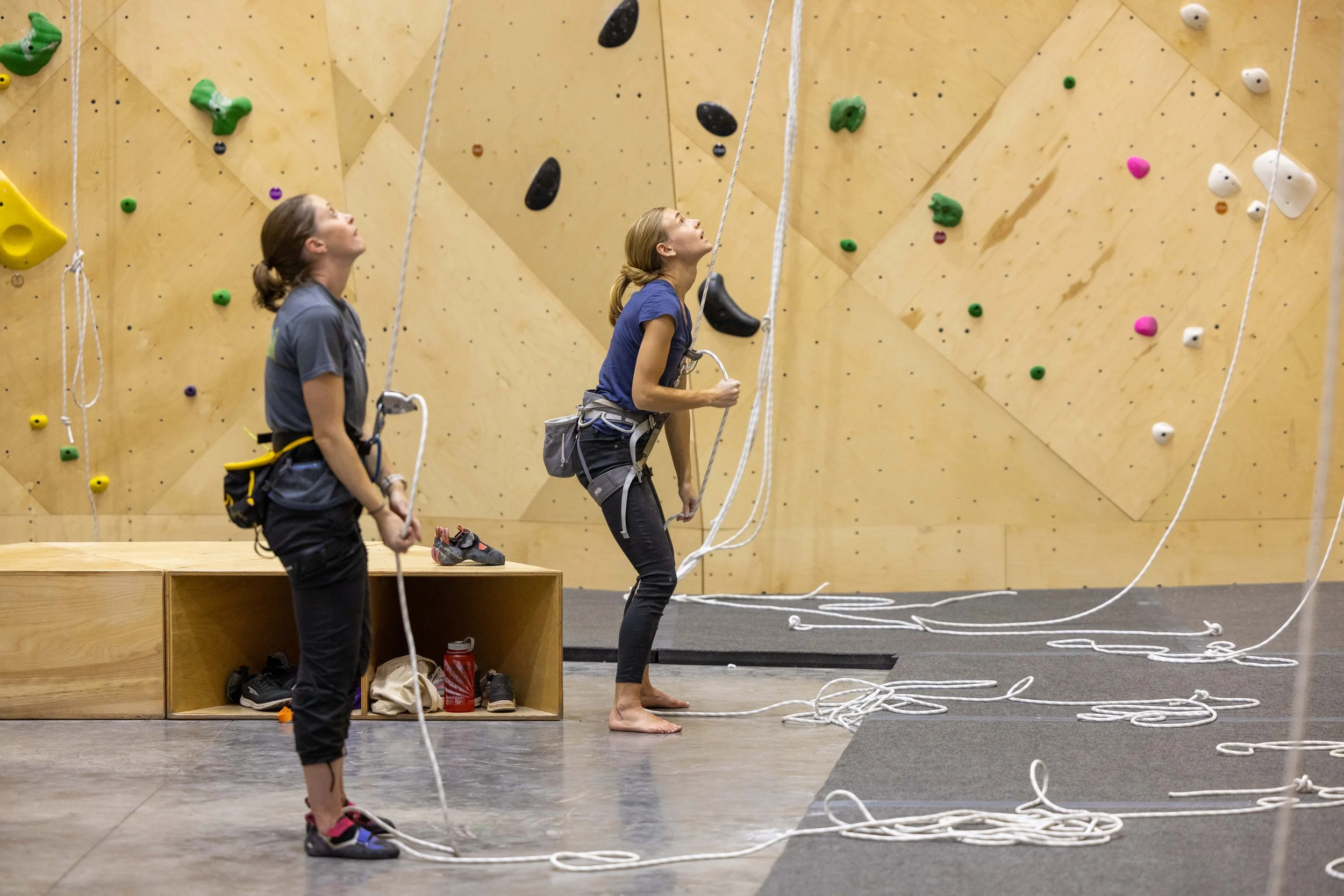 Adult Climbing Classes | Longmont, CO — Climbing Collective