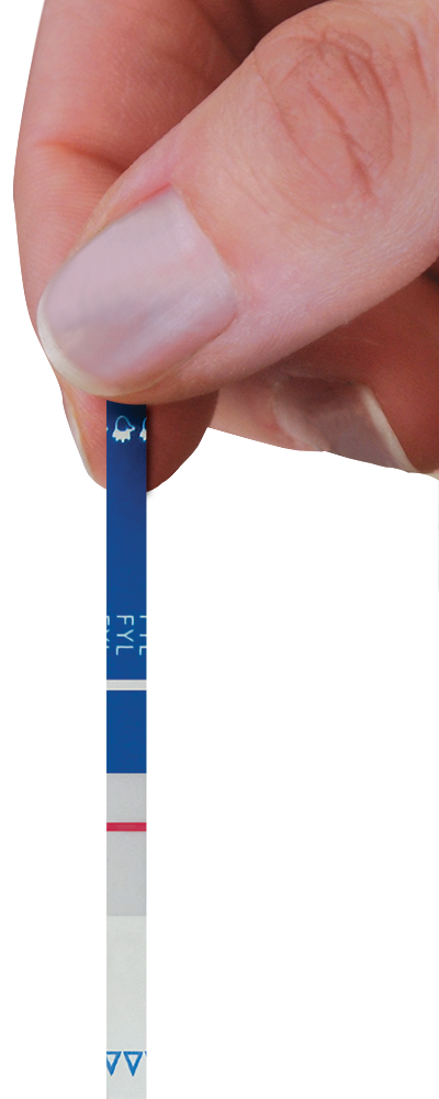 Rapid Response Instructions — Test Strips Save Lives Foundation