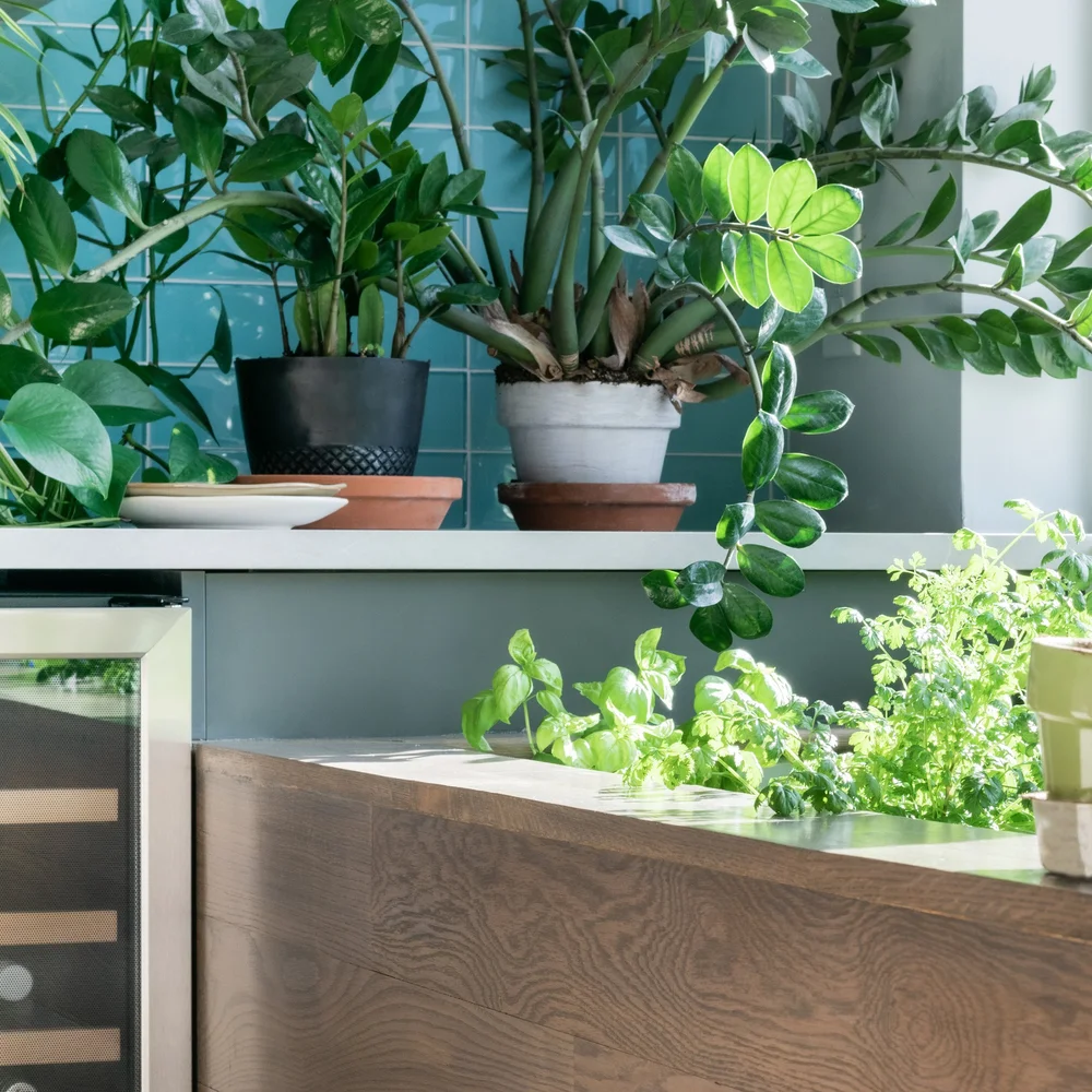 Muir House | BONSAI Design + Build