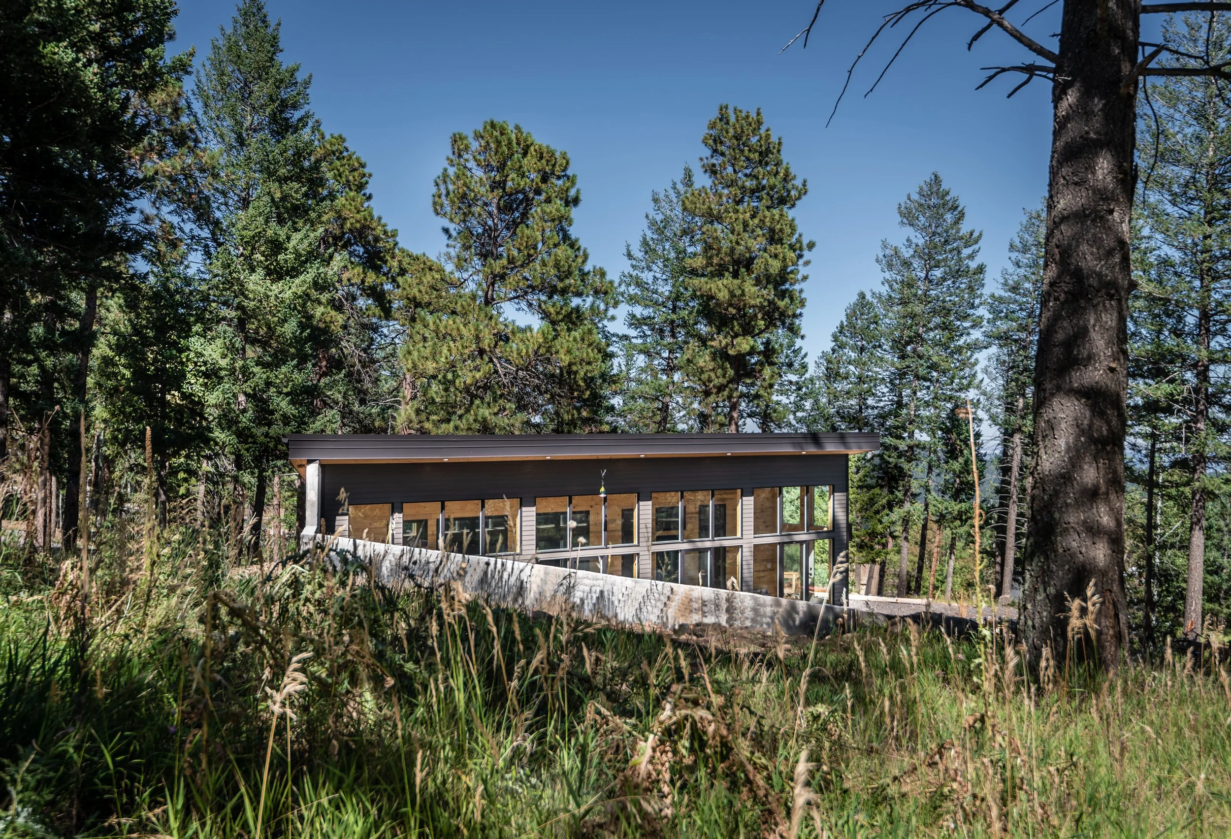 Earth House | BONSAI Design + Build