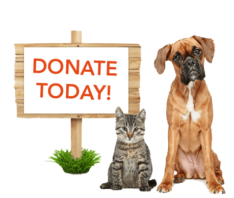 Donate — Jasper County Humane Society
