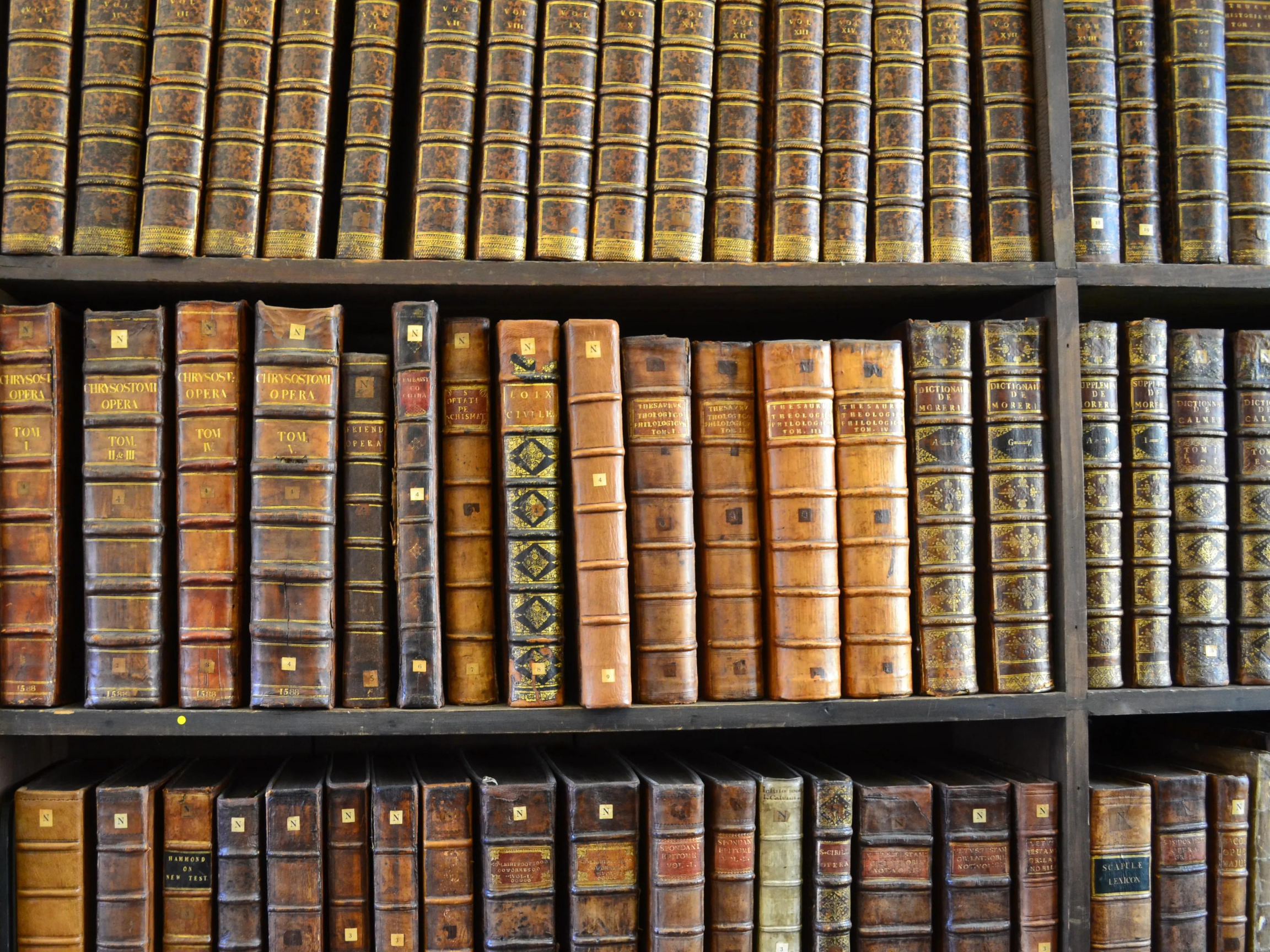 Dangerous Humane Letters — Beza Institute for Reformed Classical Education