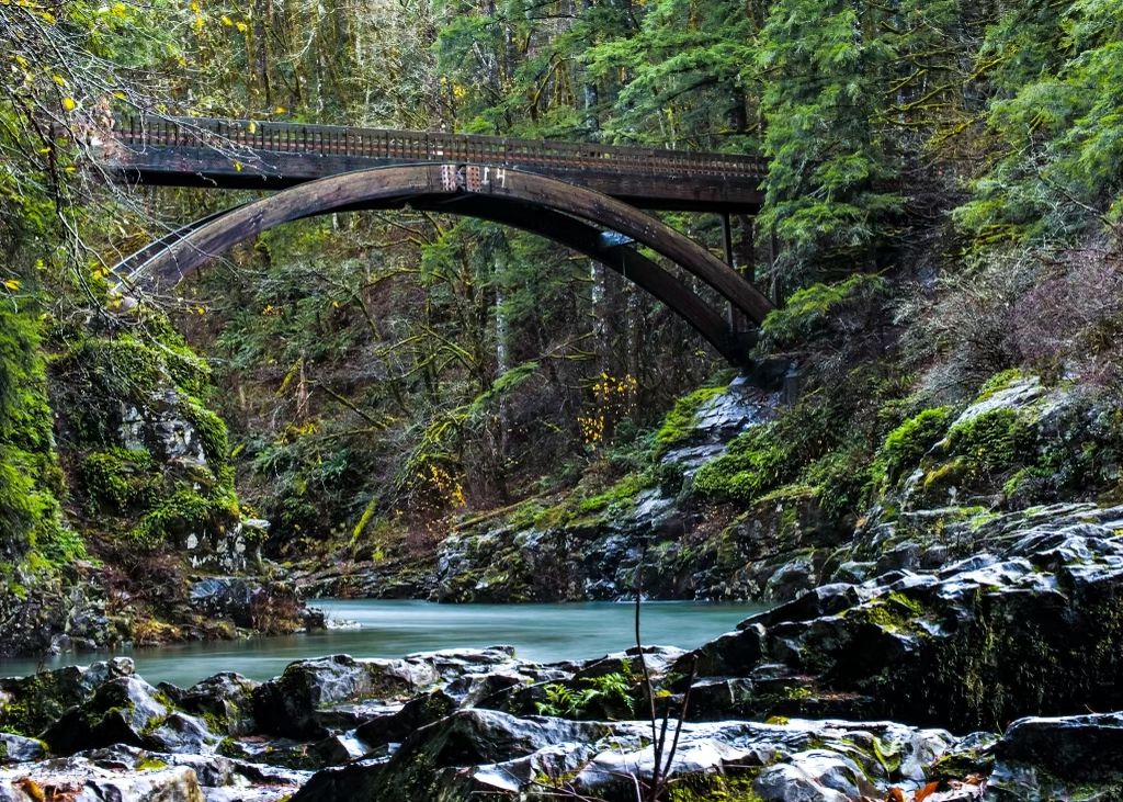 Spiritual Direction — The Divine & I