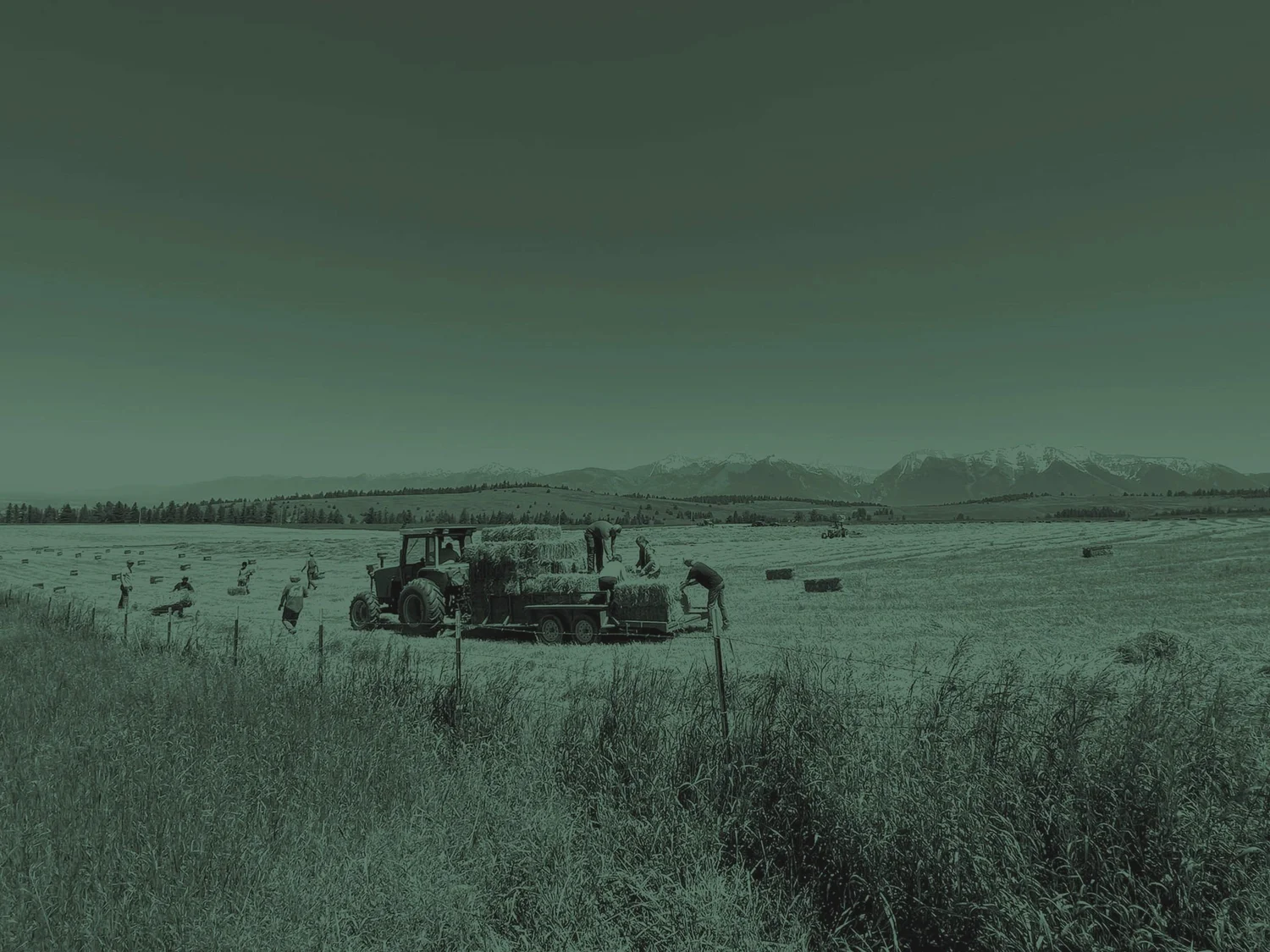 Our Mission — Pinehaven Gap