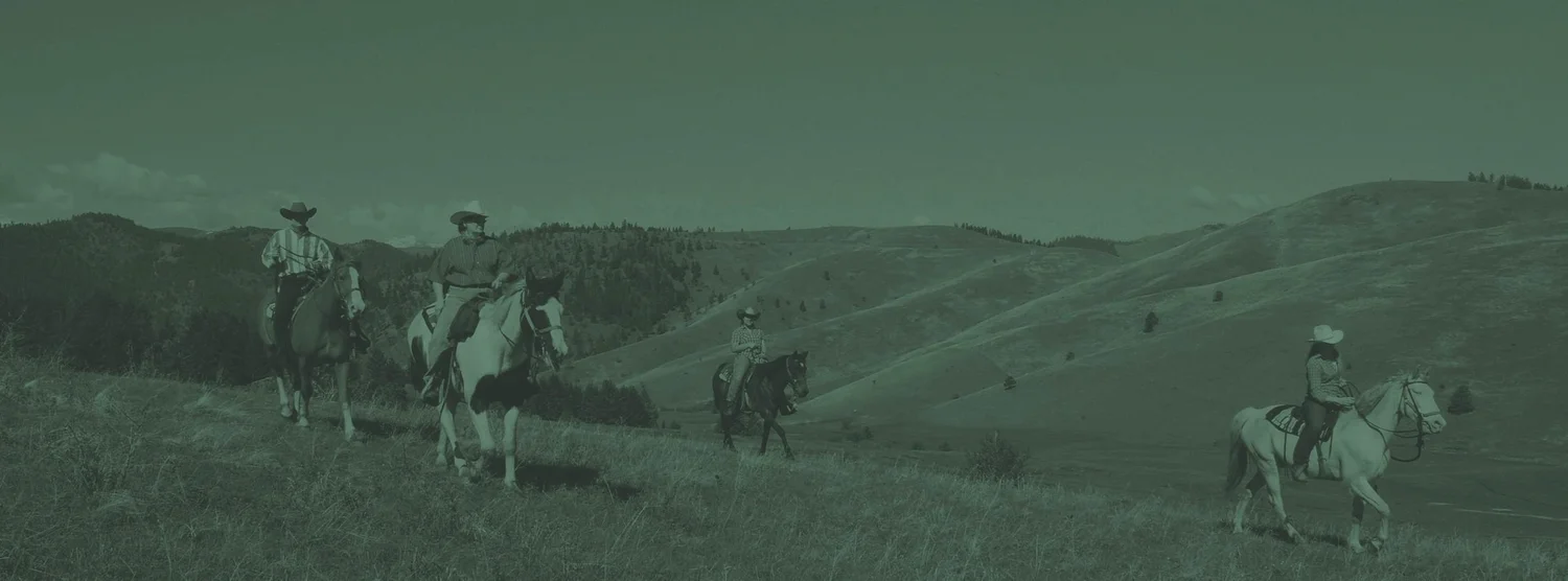 About Us — Pinehaven Gap