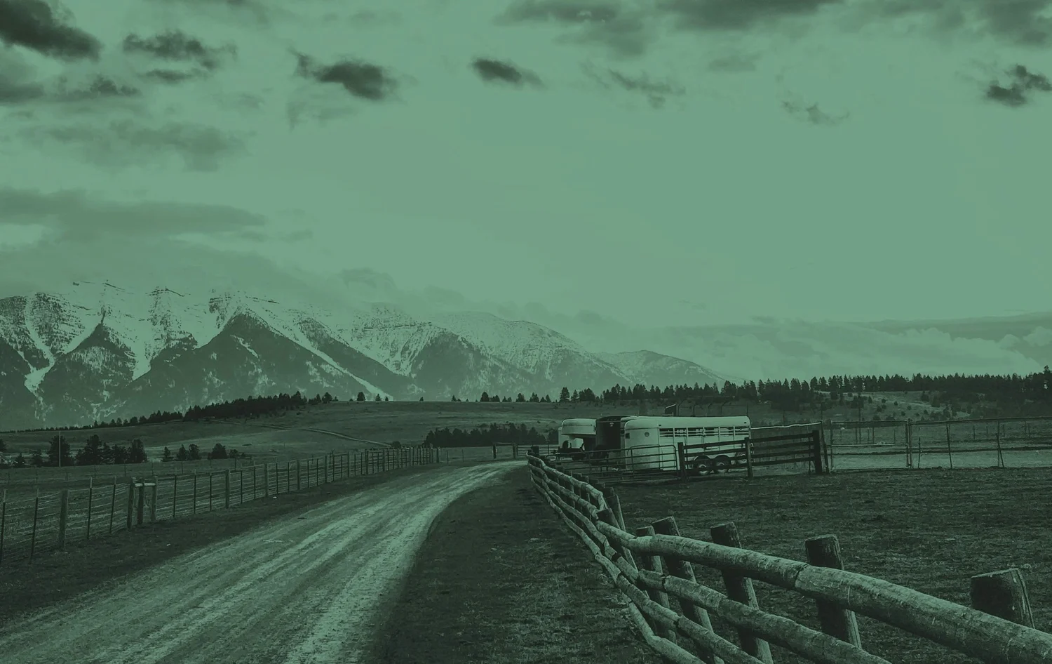 Apprentice — Pinehaven Gap