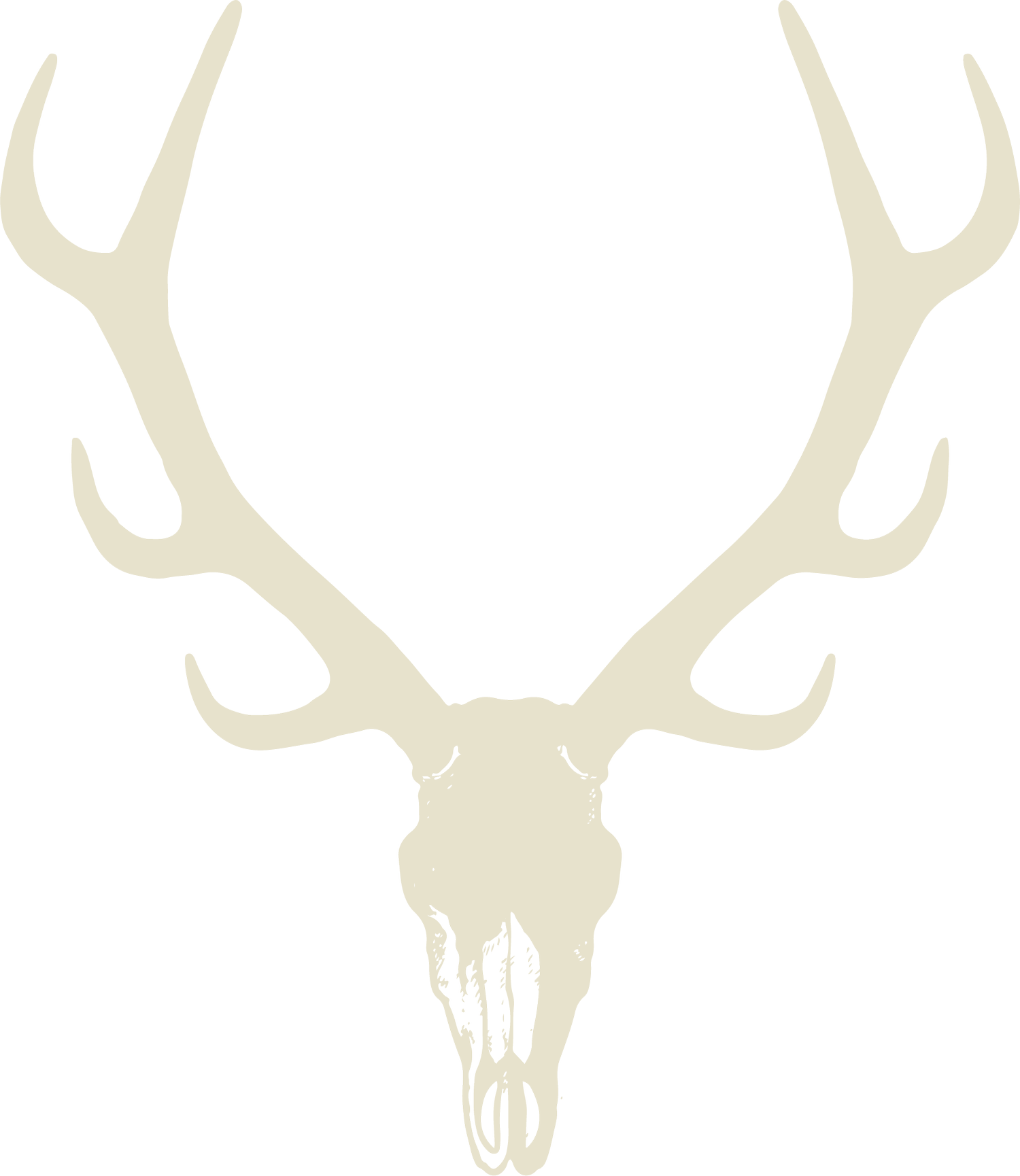 Apprentice — Pinehaven Gap