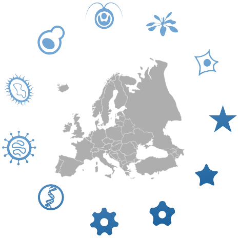 Our Vision — EUSynBioS