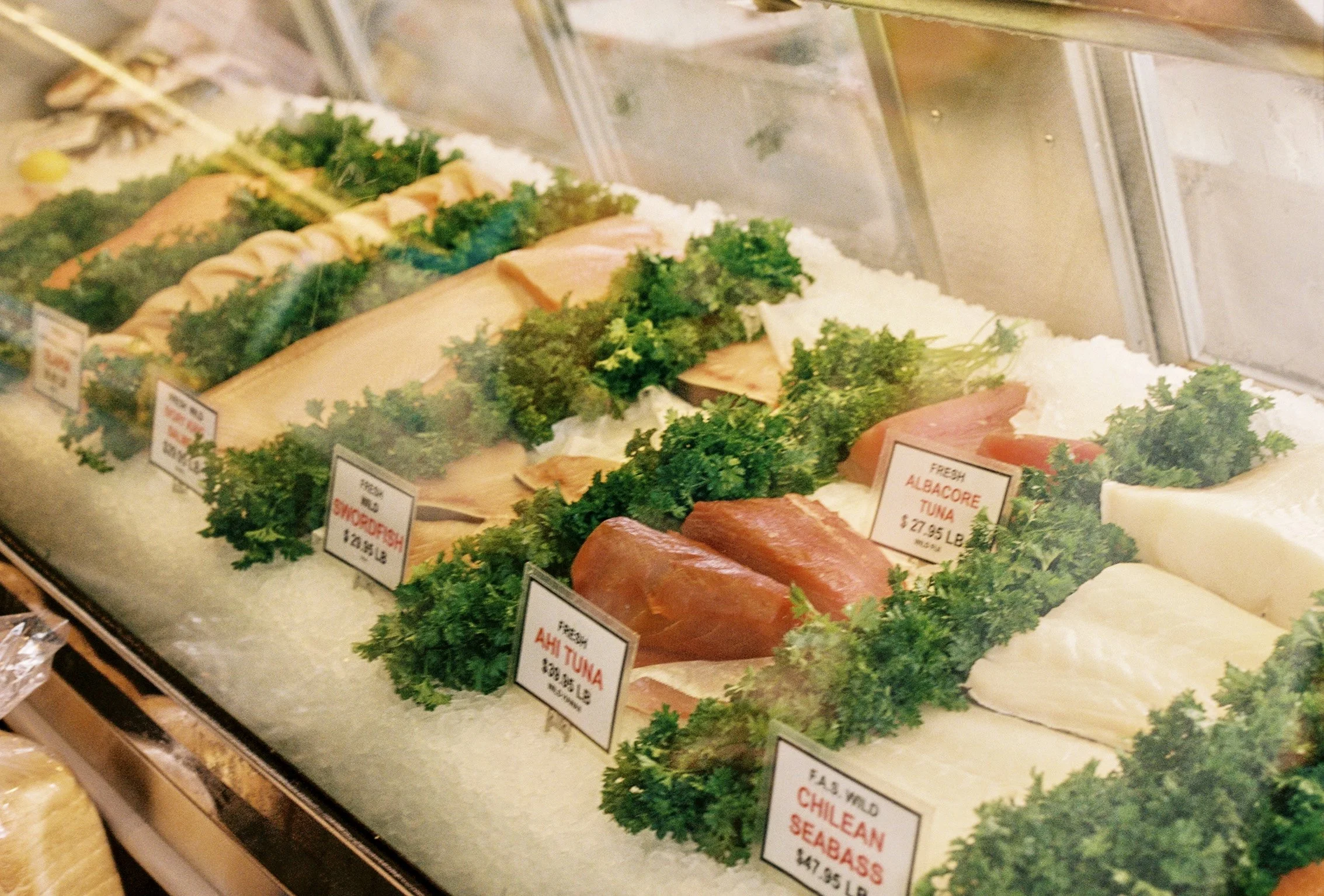 Malibu Fish Market — Just Playted
