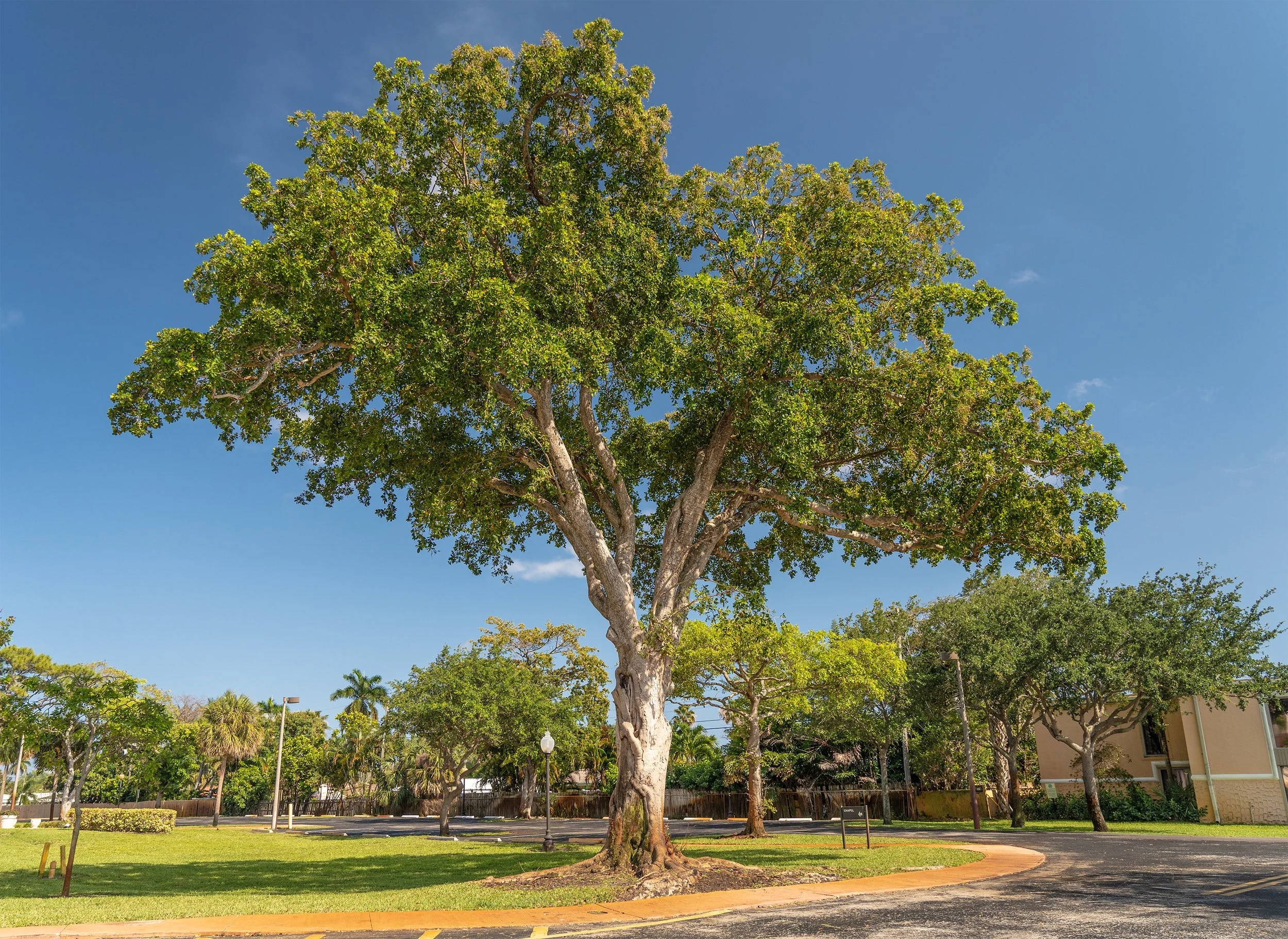 Photography — CHICHO AND THE CAMERA