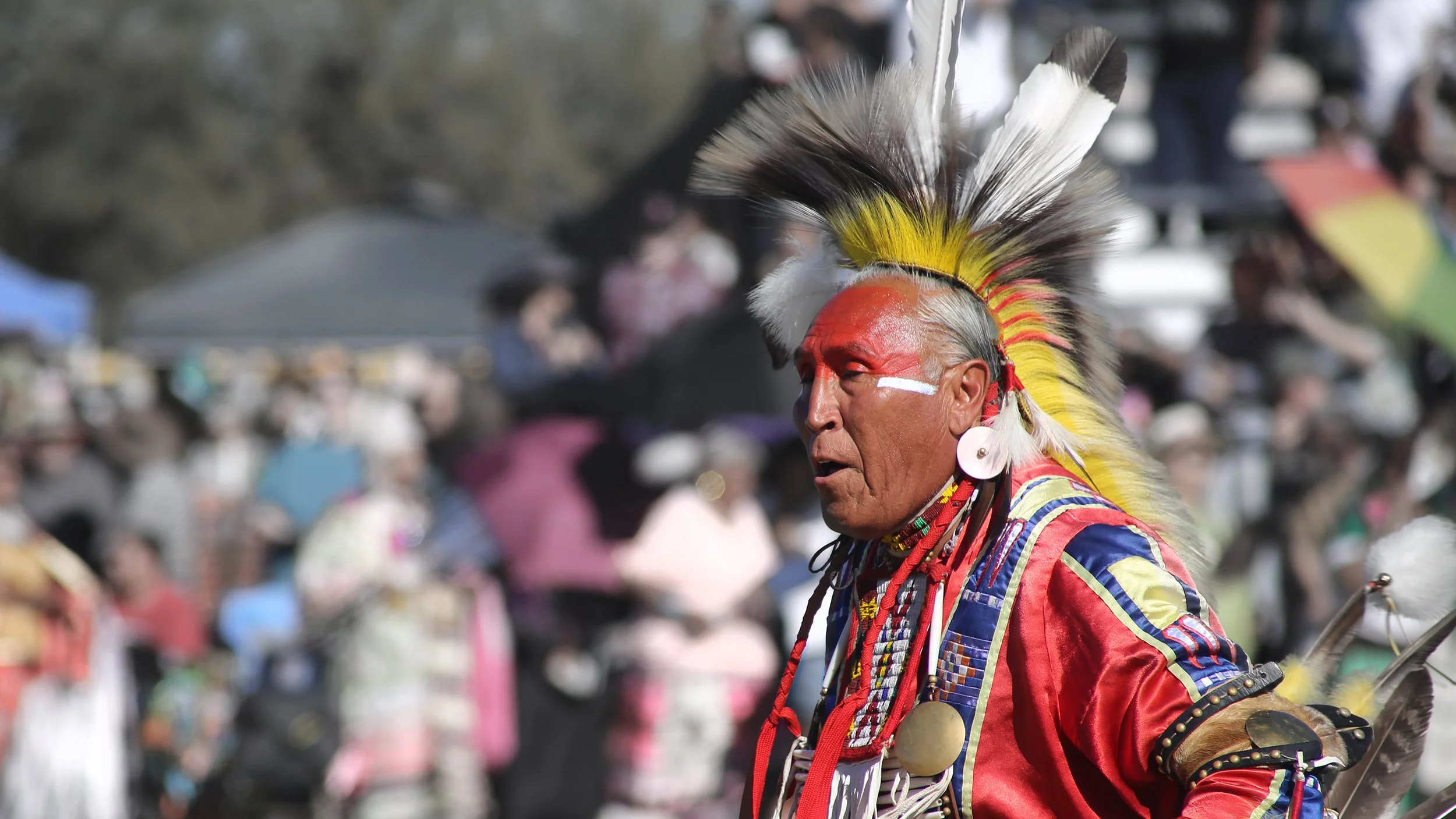 Native America — Lloyd Record Images & Creations