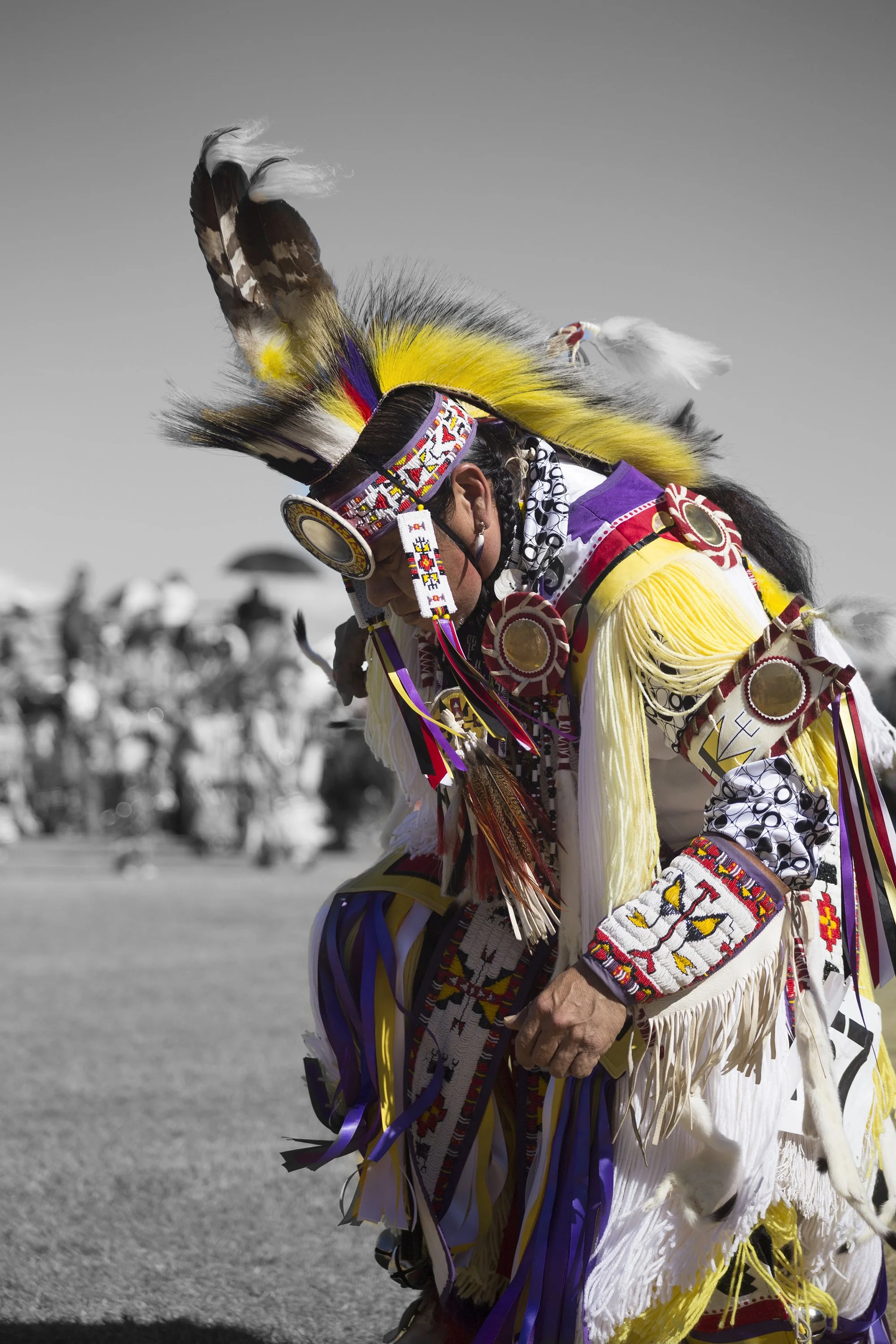 Native America — Lloyd Record Images & Creations