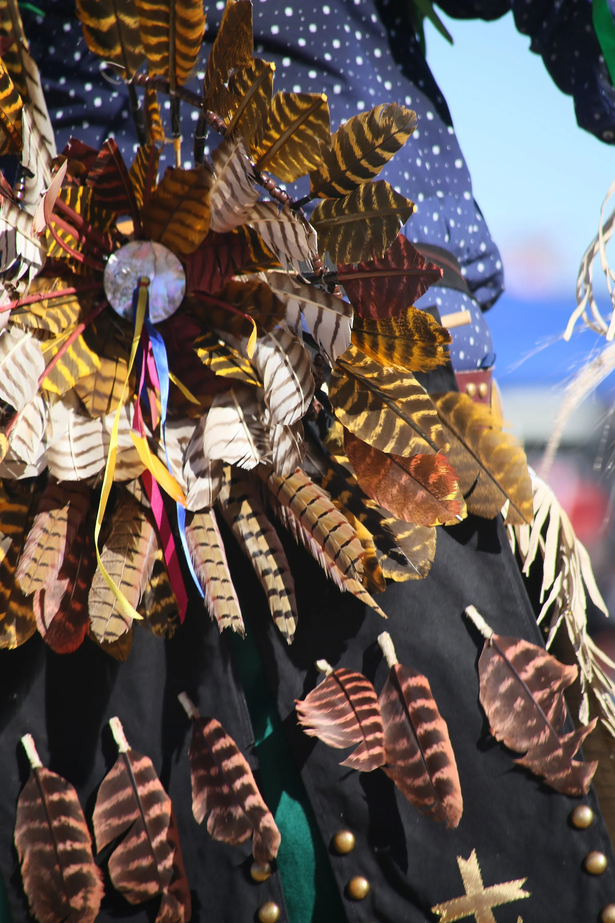 Native America — Lloyd Record Images & Creations