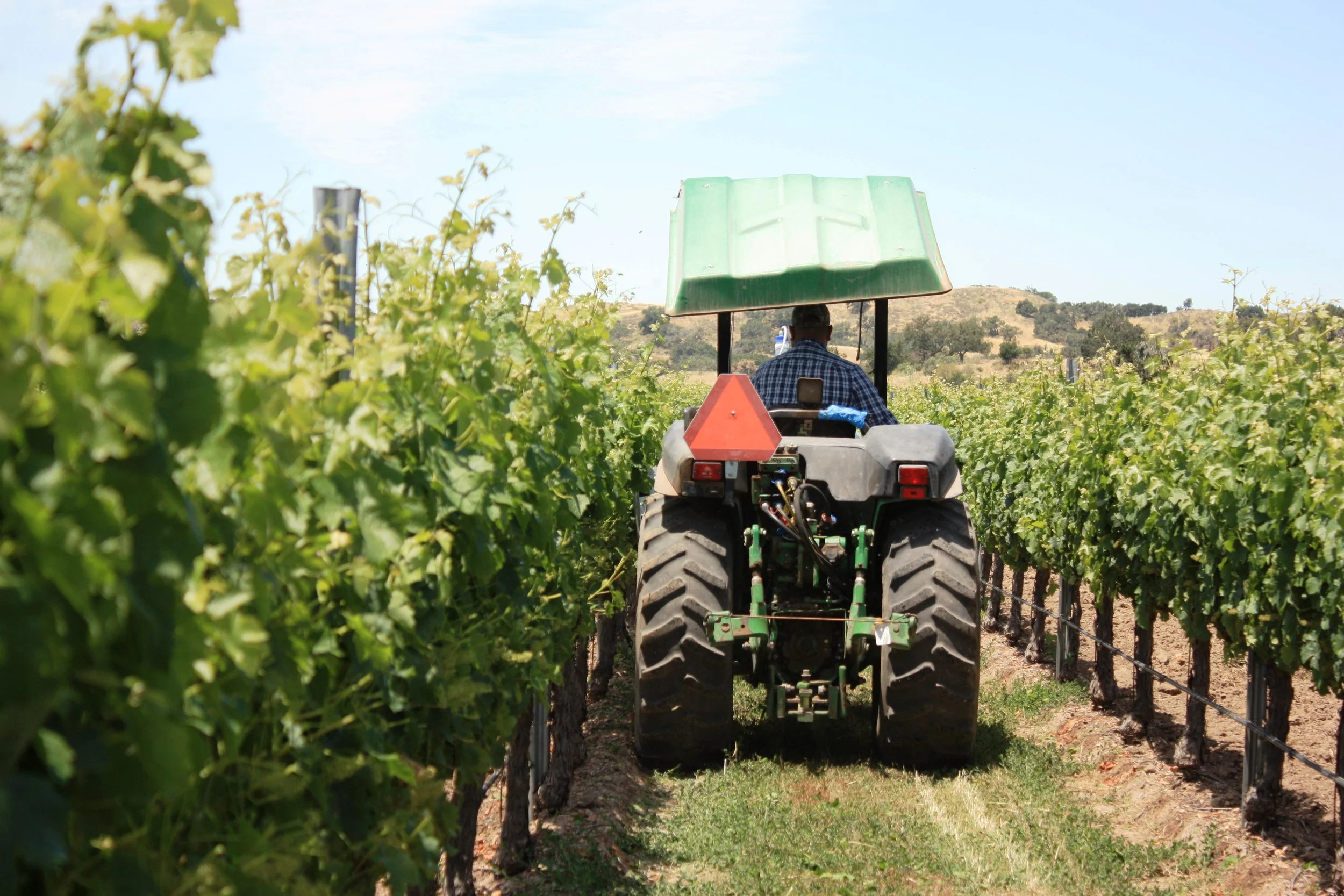 Viticulture Services — Coastal Vineyard Care