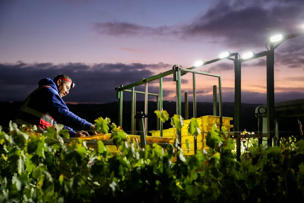 Careers — Coastal Vineyard Care