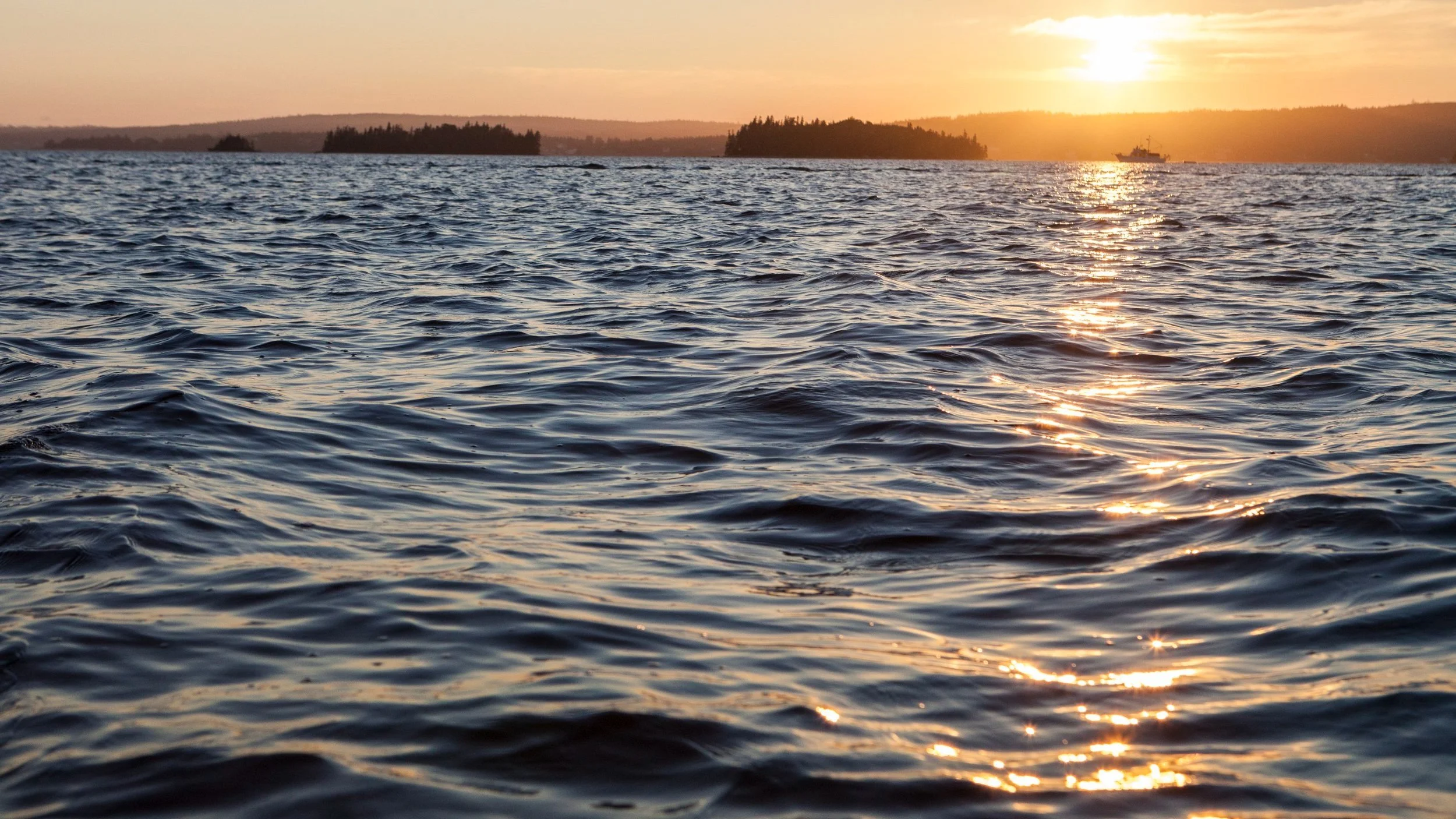 Services 1 — Shining Waters Marina