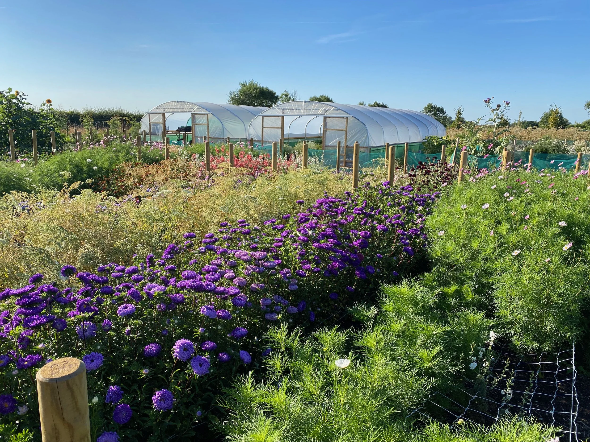 Farm Tours — Chippy Flower Farm