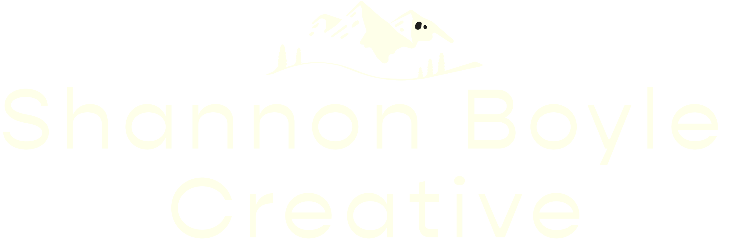 Adventures in Overachieving — Shannon Boyle Creative