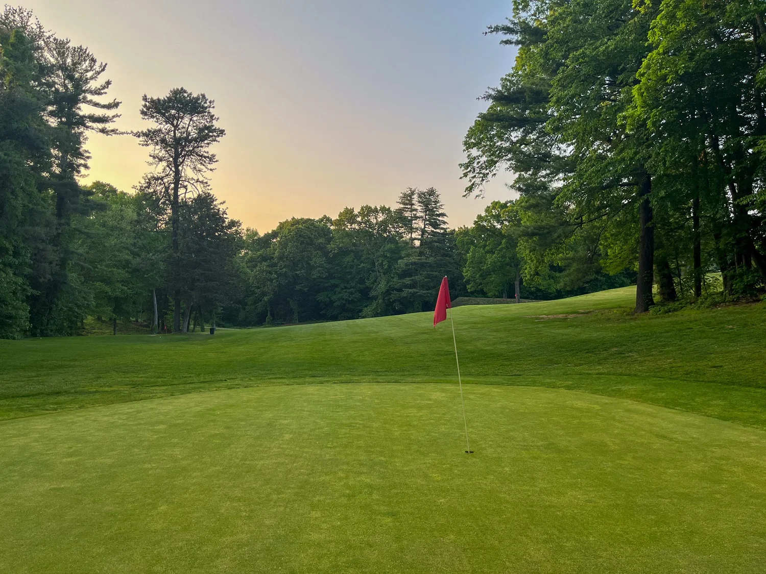 Overview — Longhi's Golf