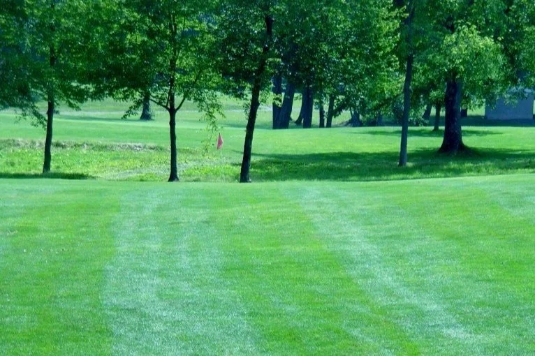 Par 3-4 Course — Longhi's Golf