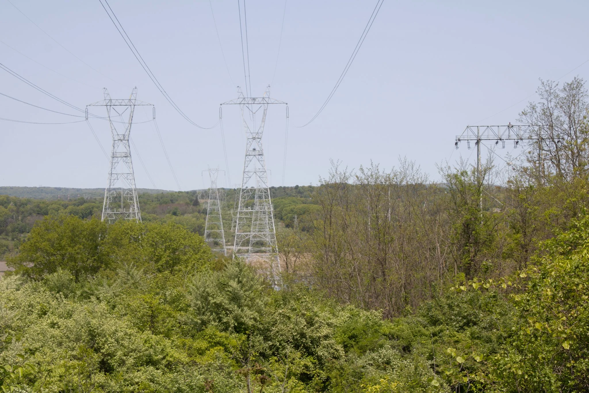 Tate Simms Photography