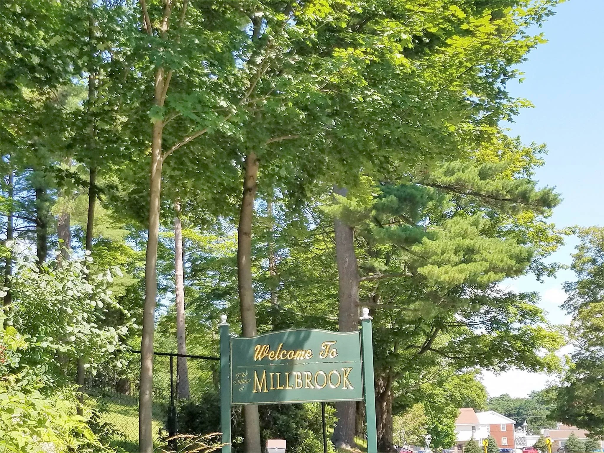 Town of Washington Democratic Committee