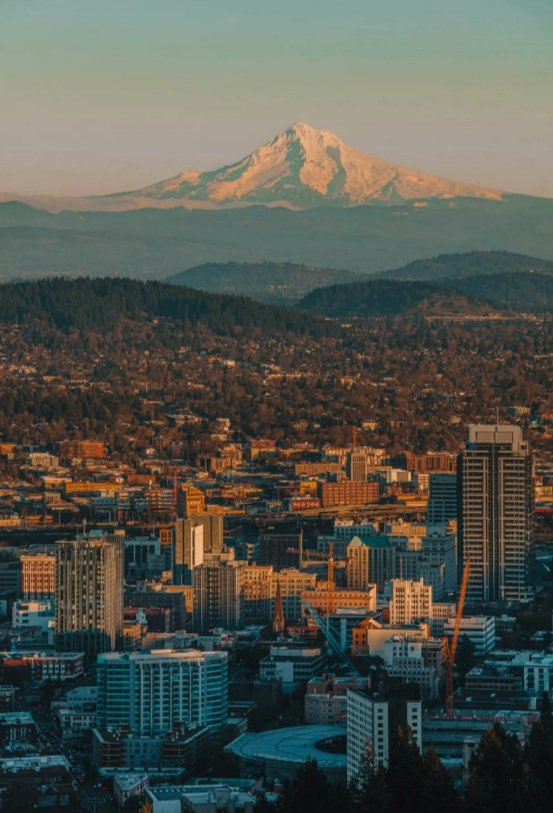 About Dame Interiors — Dame Interiors