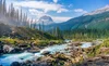 Tate Chang Therapy - Therapy Services in California & Alabama