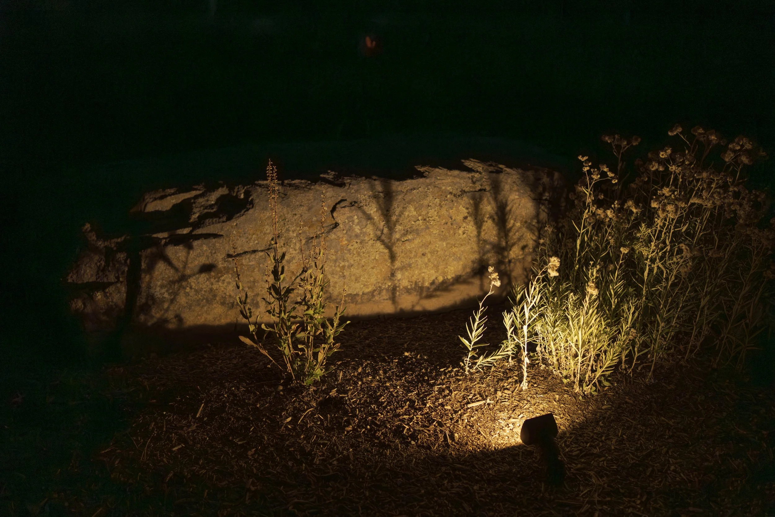 Adding Boulders to Enhance Your Landscape