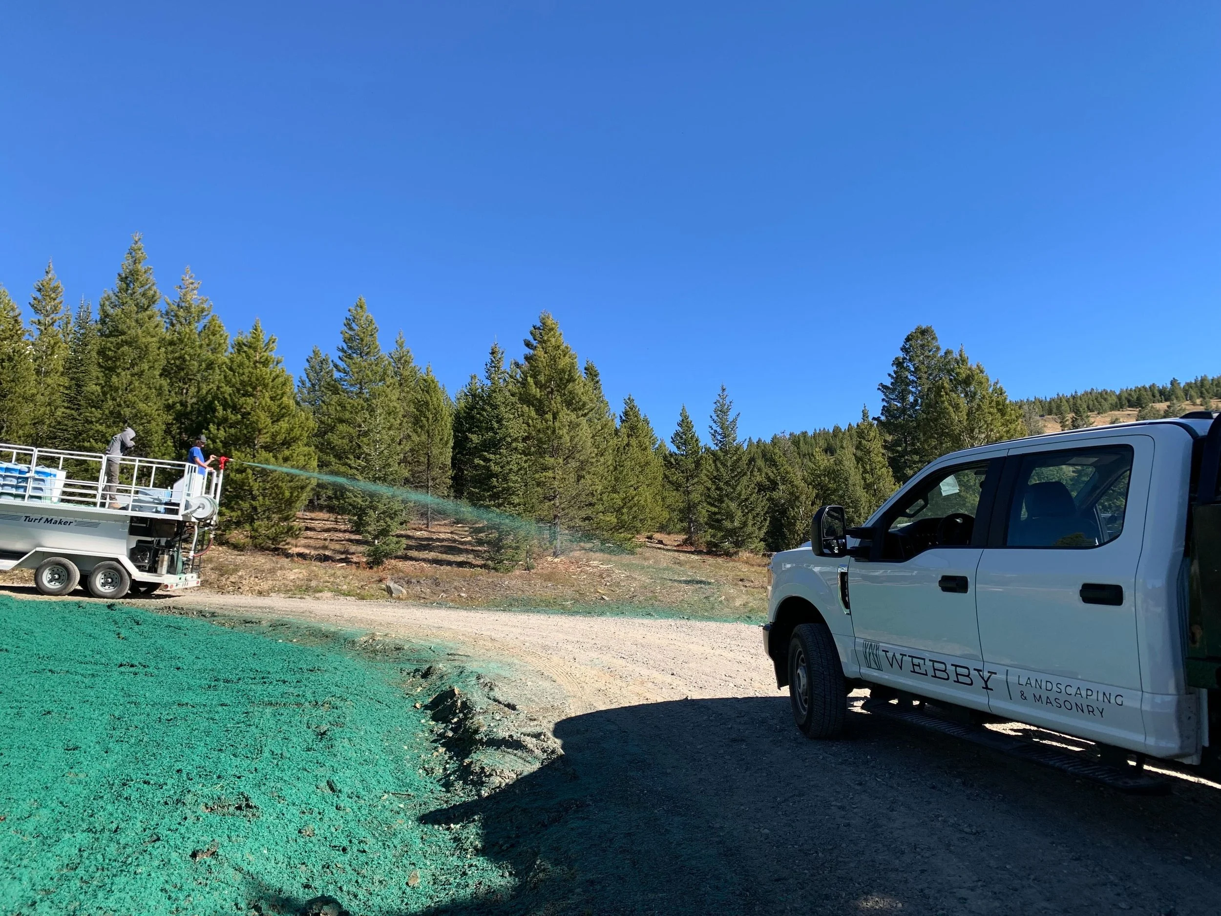 Choosing Between Hydroseeding and Sod Installation