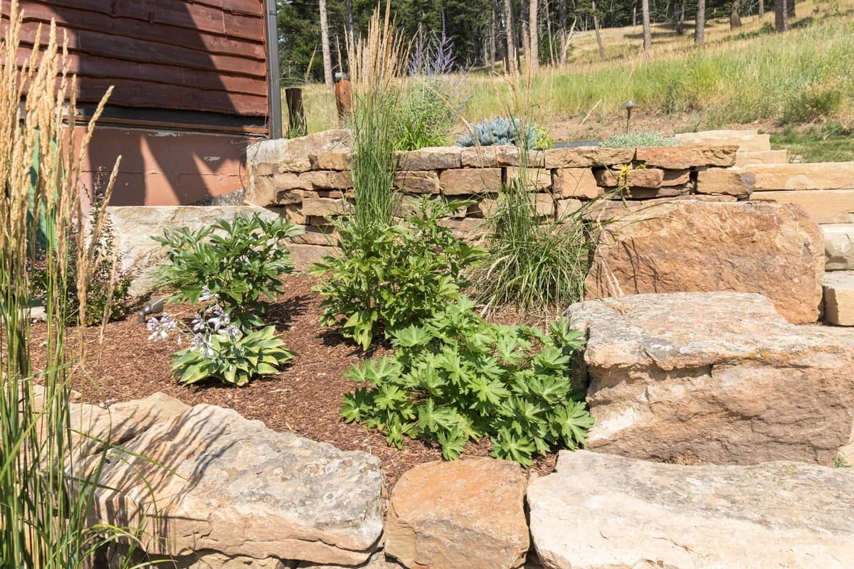 Landscaping with boulders to elevate your outdoor space