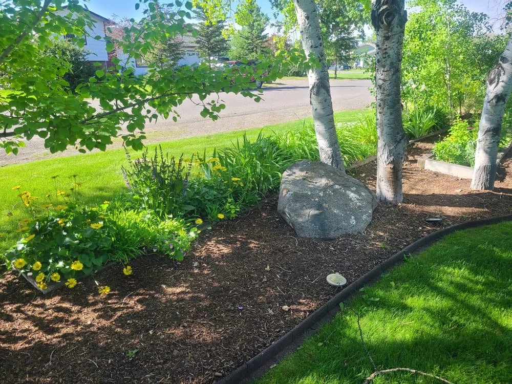 Tips for a Vibrant Bozeman Landscape This Summer