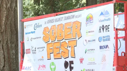 SoberFest - Help Us