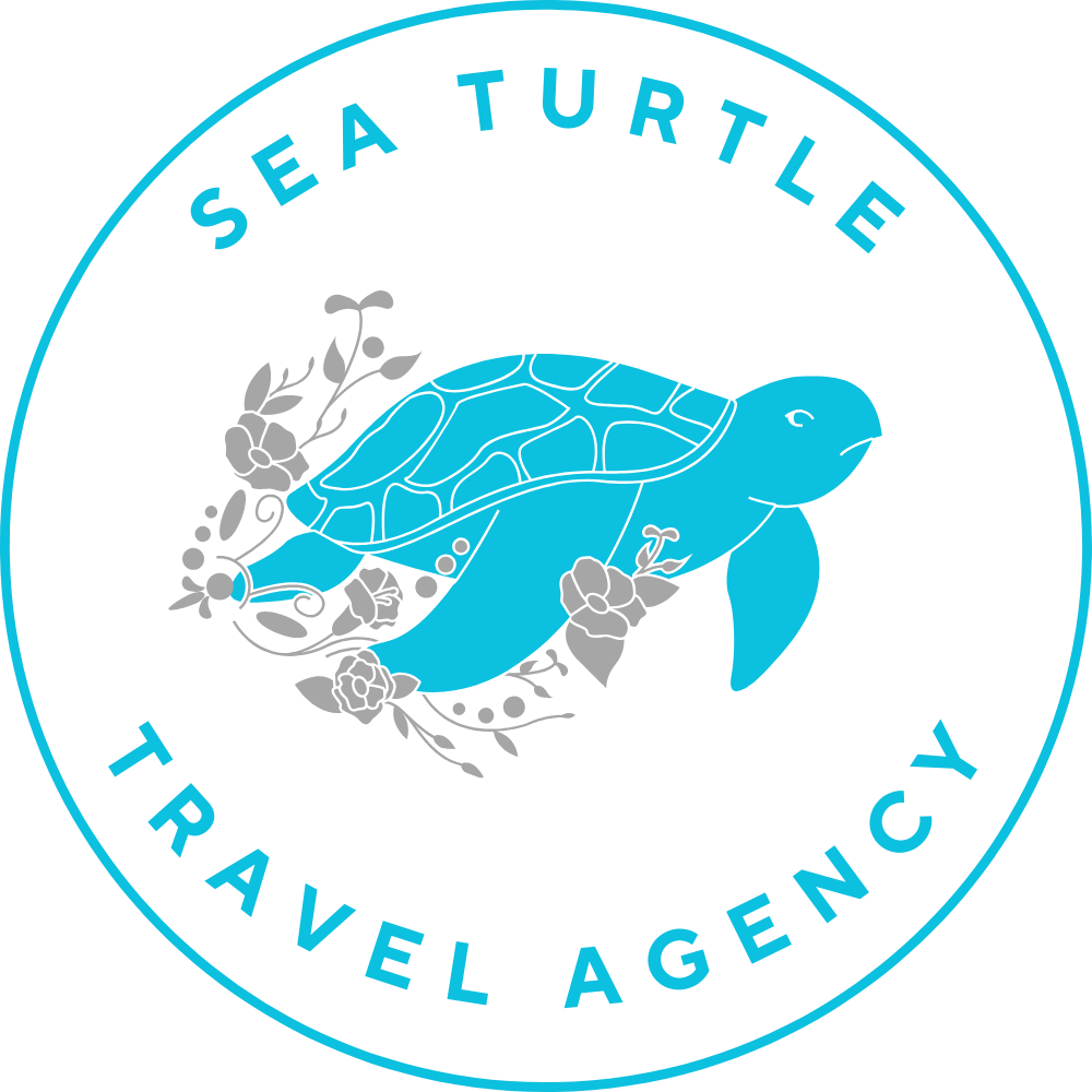 Sea Turtle Travel | Explore, Travel, Connect Today