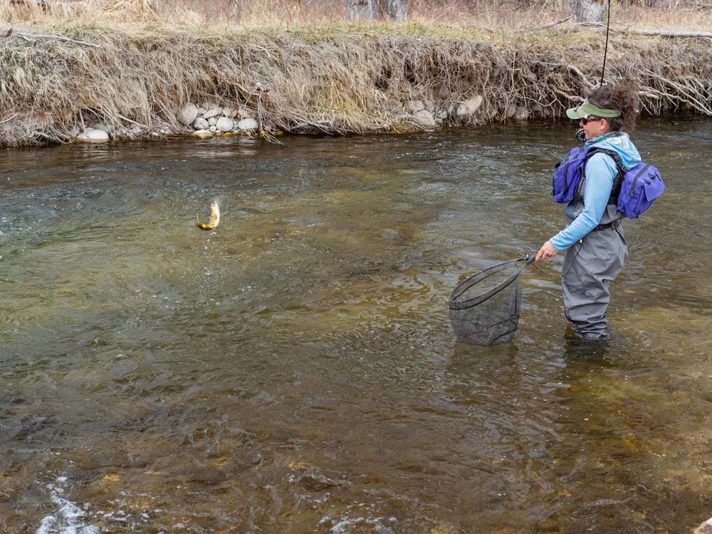 Fly Fishing Only Adventures