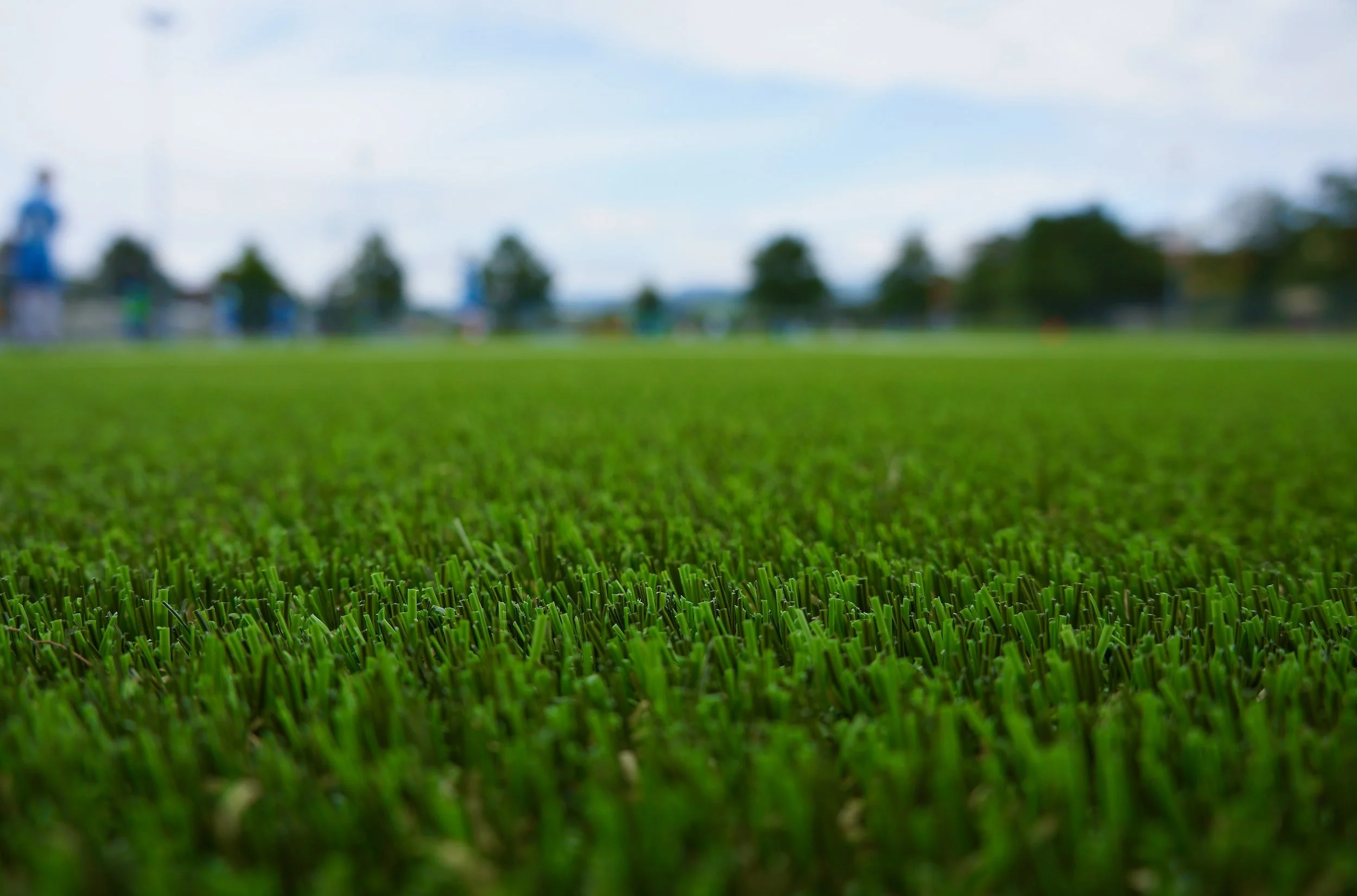 One Grass