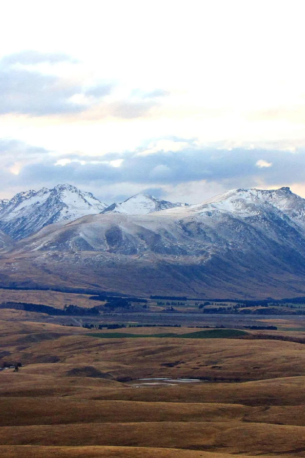 8 Best Things To Do In Lake Tekapo in 24 Hours - Lupins, Stars, Views ...