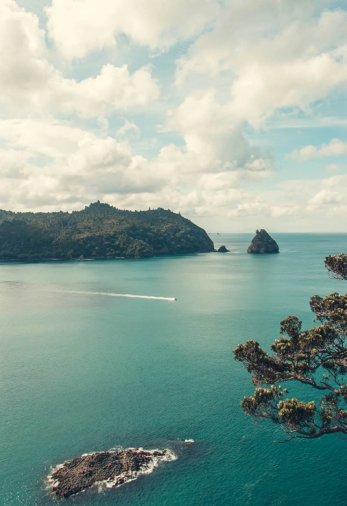 20 Unique Places To Go In The North Island, New Zealand — Petrina Darrah