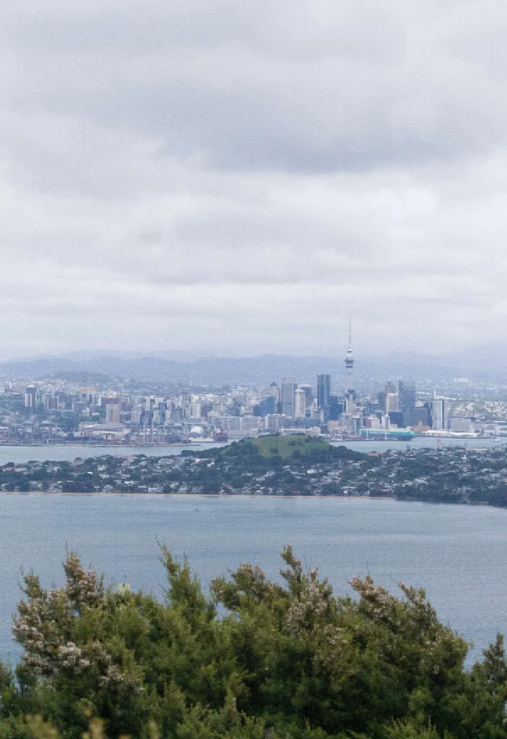 14 Epic Auckland Walks And Hikes For Nature Lovers — Petrina Darrah