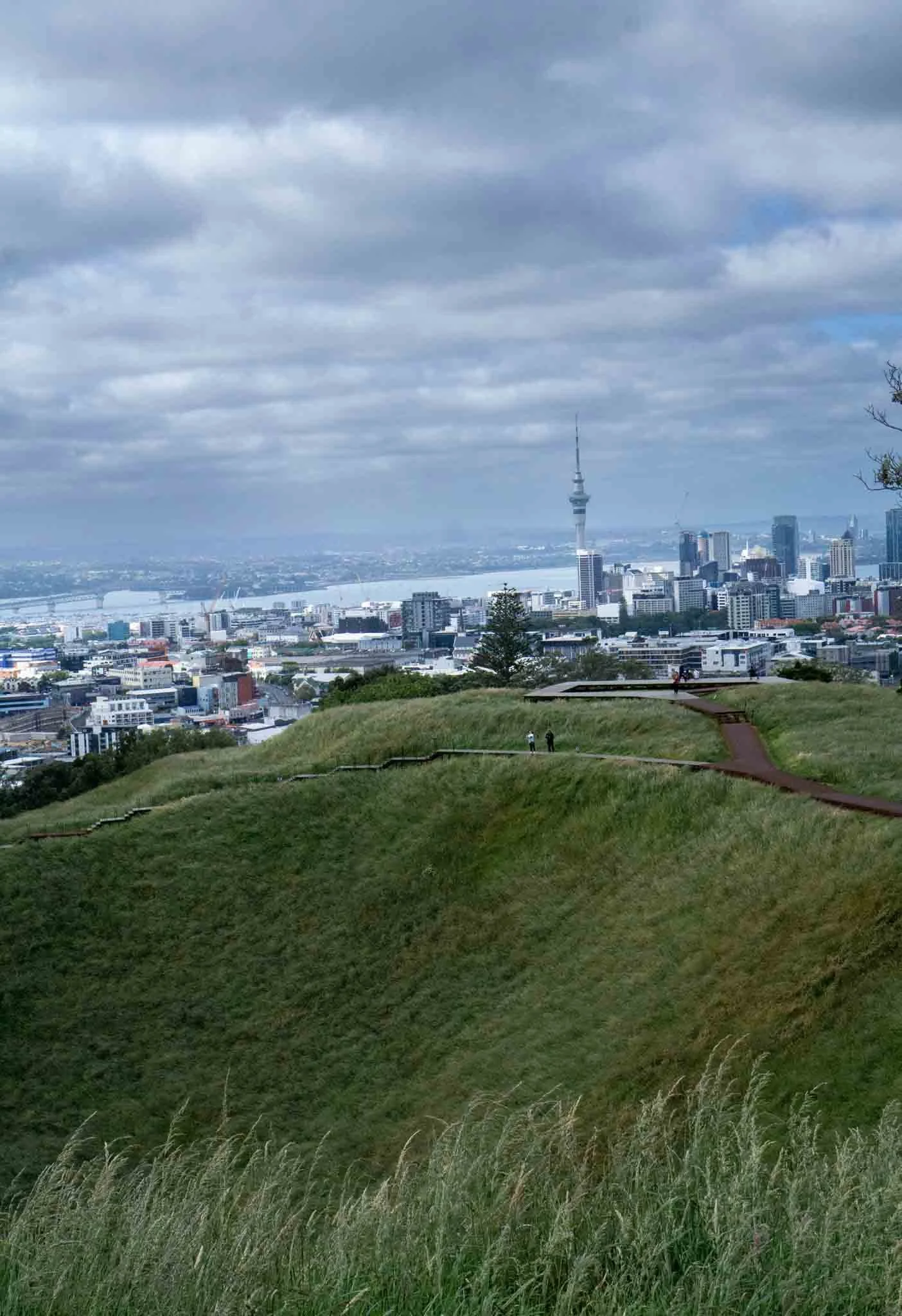 24 Cool & Unique Things To Do In Auckland: A Local's Guide — PETRINA DARRAH