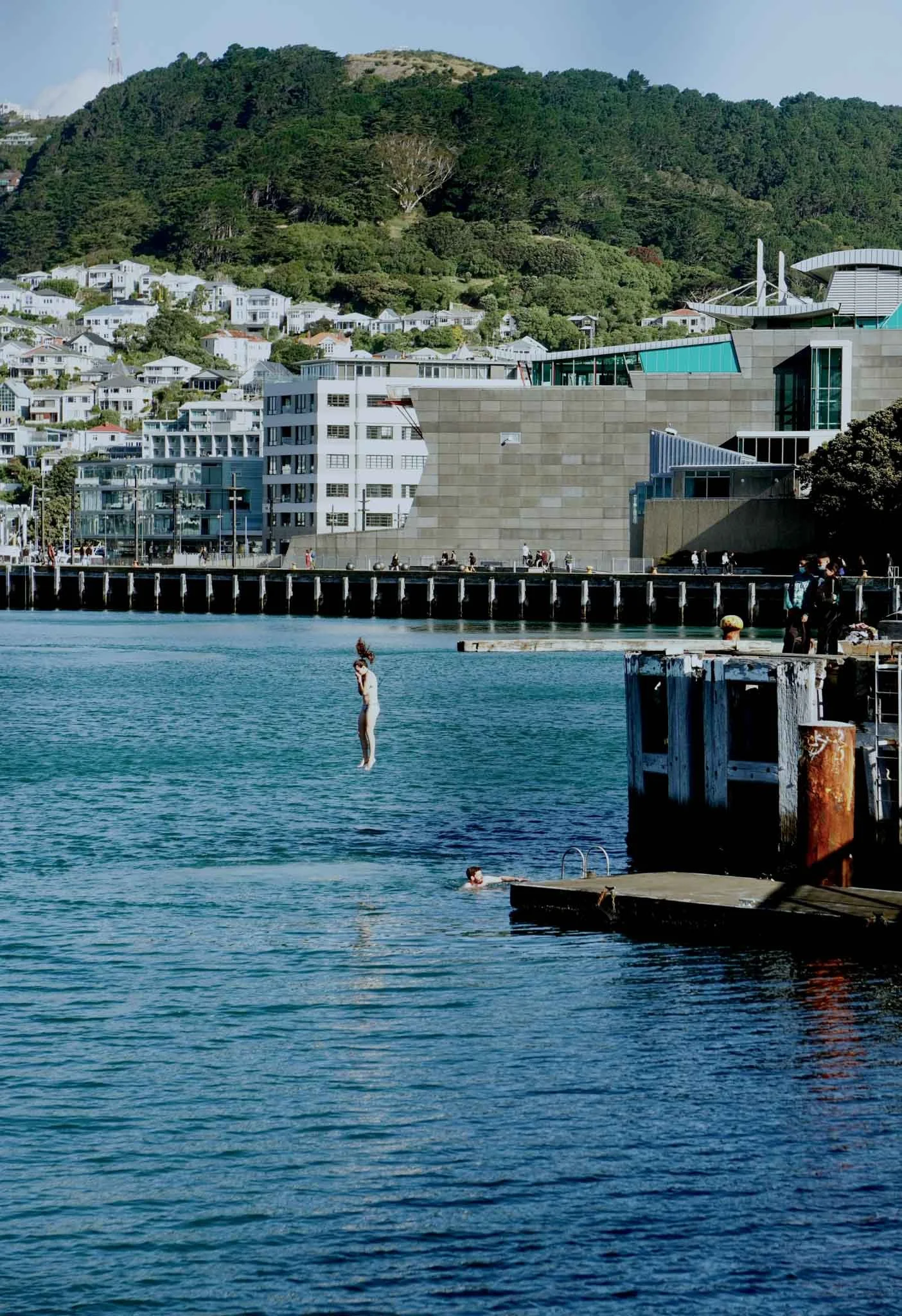 15 Cool & Unique Things To Do In Wellington, New Zealand's Quirky ...