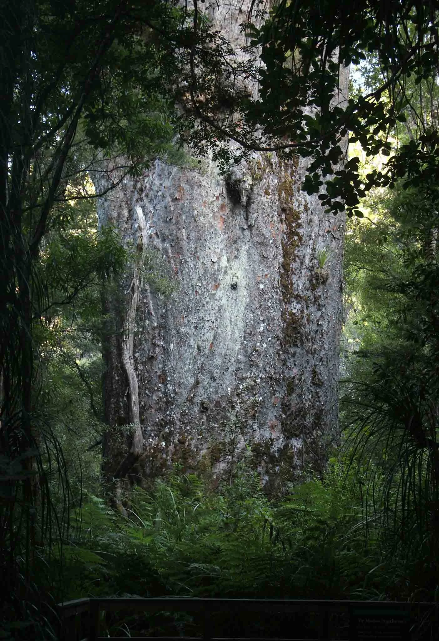 These Unforgettable Things To Do In The North Island, New Zealand, Will ...