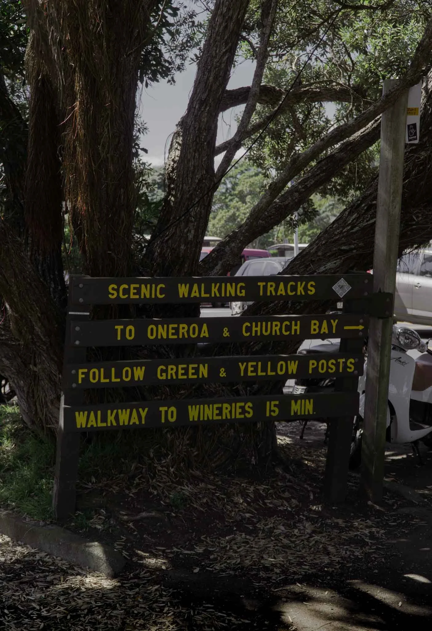 What To Do On Waiheke Island: A Guide For Wine, Beach & Nature Lovers ...