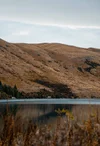 What To Do Around Lake Tekapo, The South Island's Vivid Blue Lake ...