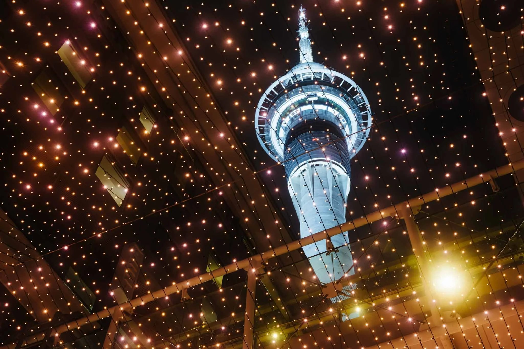 Where To Stay In Auckland (& Areas You Should Avoid) — PETRINA DARRAH