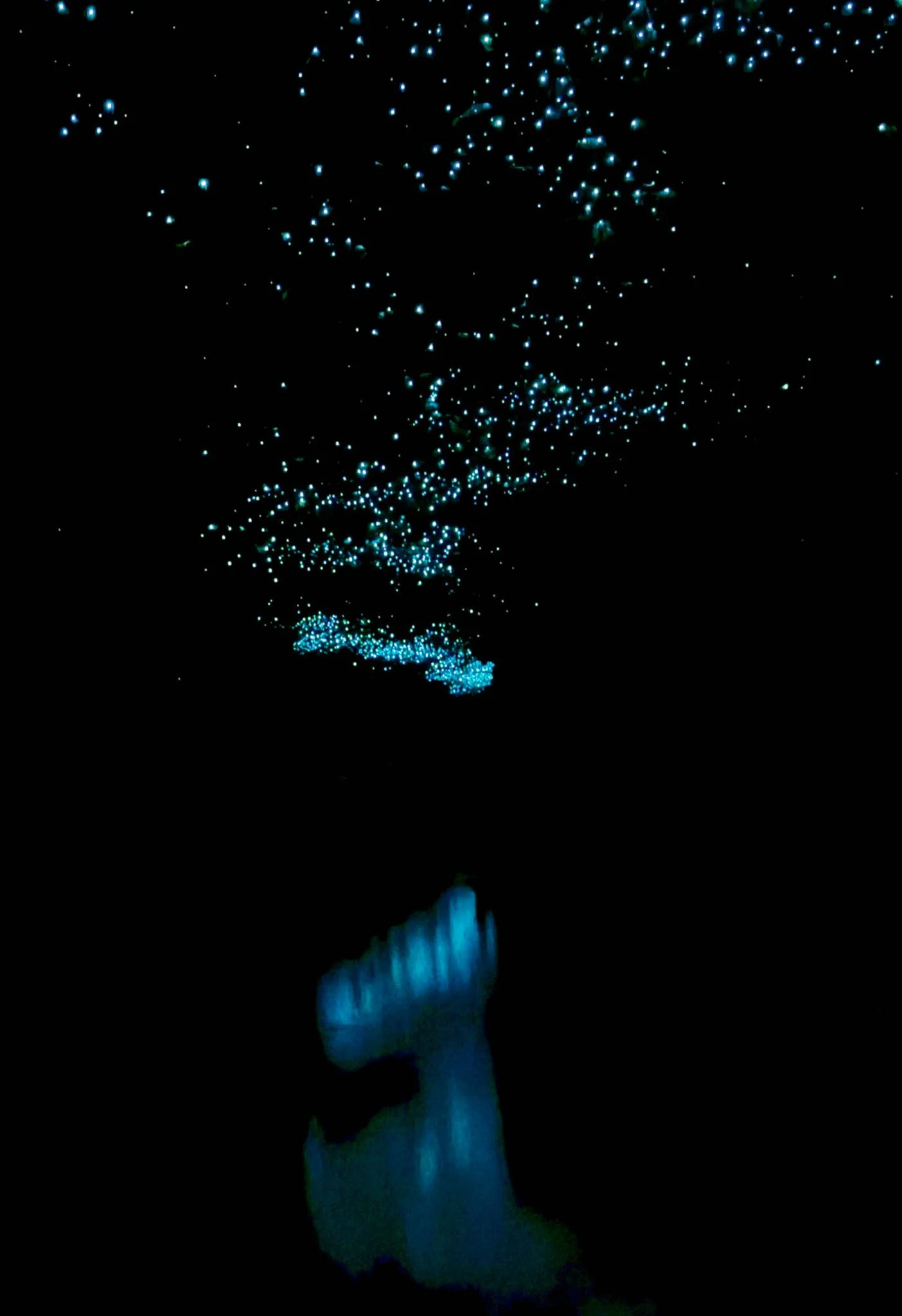 20 Unique Places To Go In The North Island, New Zealand — Petrina Darrah