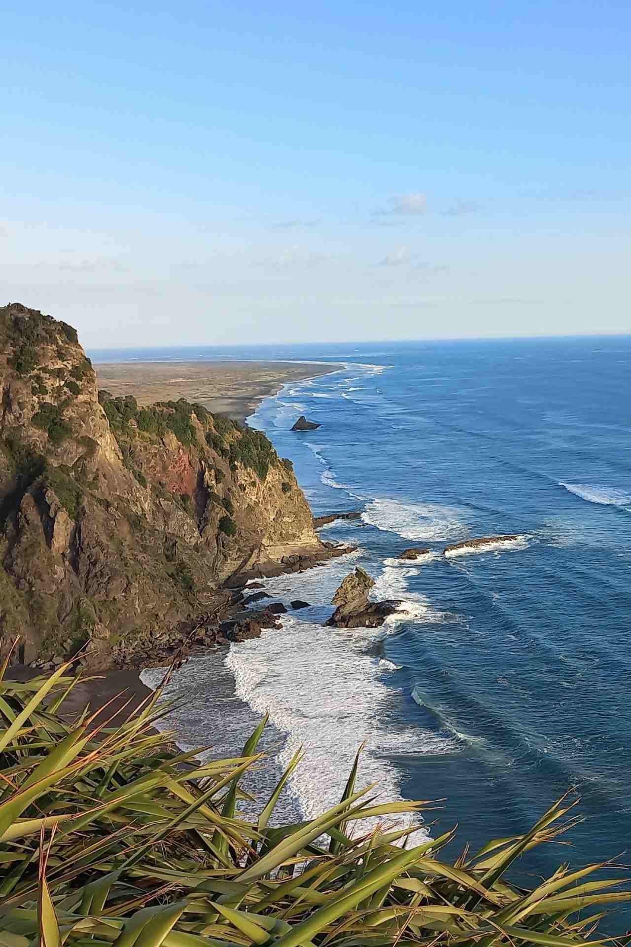14 Epic Auckland Walks And Hikes For Nature Lovers — Petrina Darrah