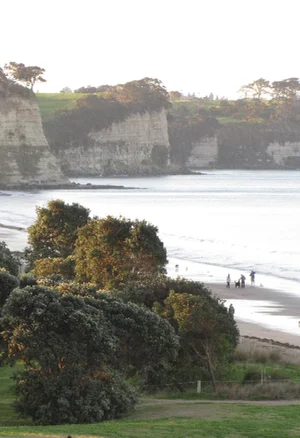 14 Epic Auckland Walks And Hikes For Nature Lovers — Petrina Darrah