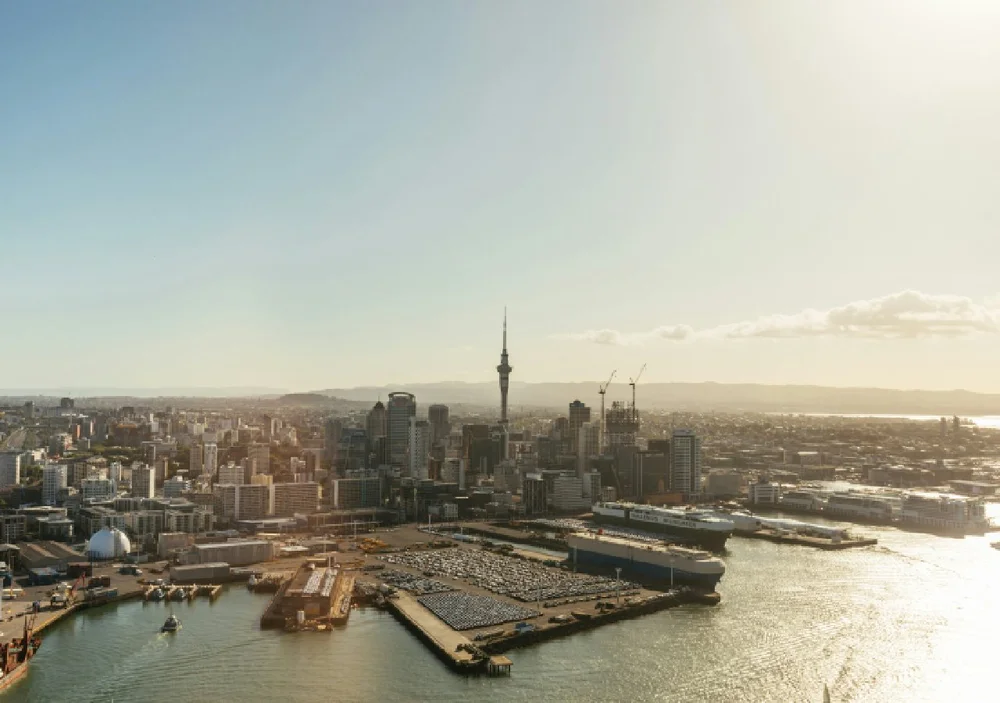 24 Unique Things To Do In Auckland: A Local's Guide — Petrina Darrah